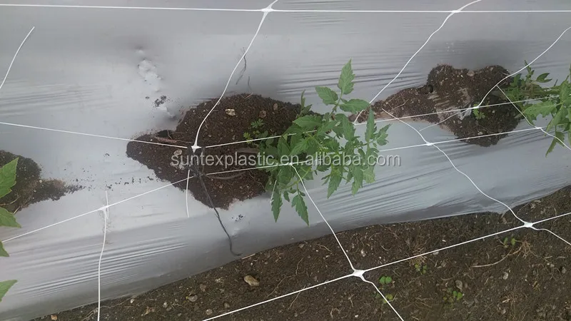 Plastic Trellis Netting Plant Support Mesh Net/hydroponics Plant ...