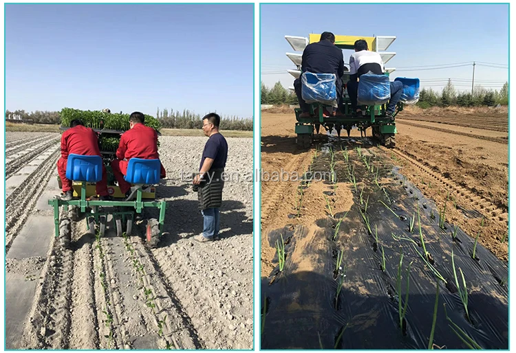Multi-functional Vegetable Transplanter for Tomato & Pepper