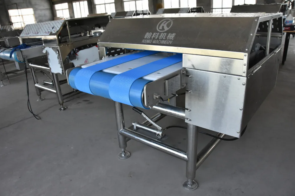 Affordable Double Lanes Chicken Filleting Machine Hkqpj500-vii - Buy ...