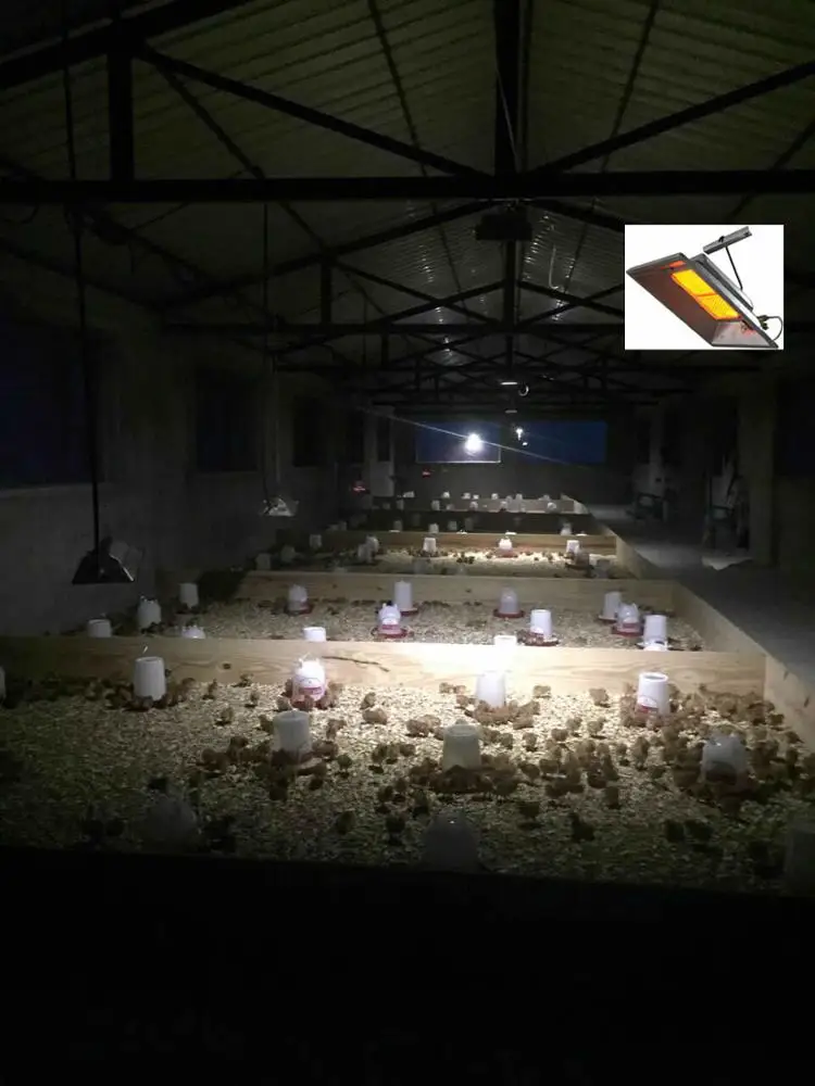 Infrared Gas Poultry House Heater - Buy Poultry House Heater,Infrared ...