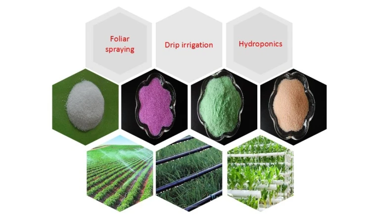 Npk Foliar Fertilizer For High Value Crops