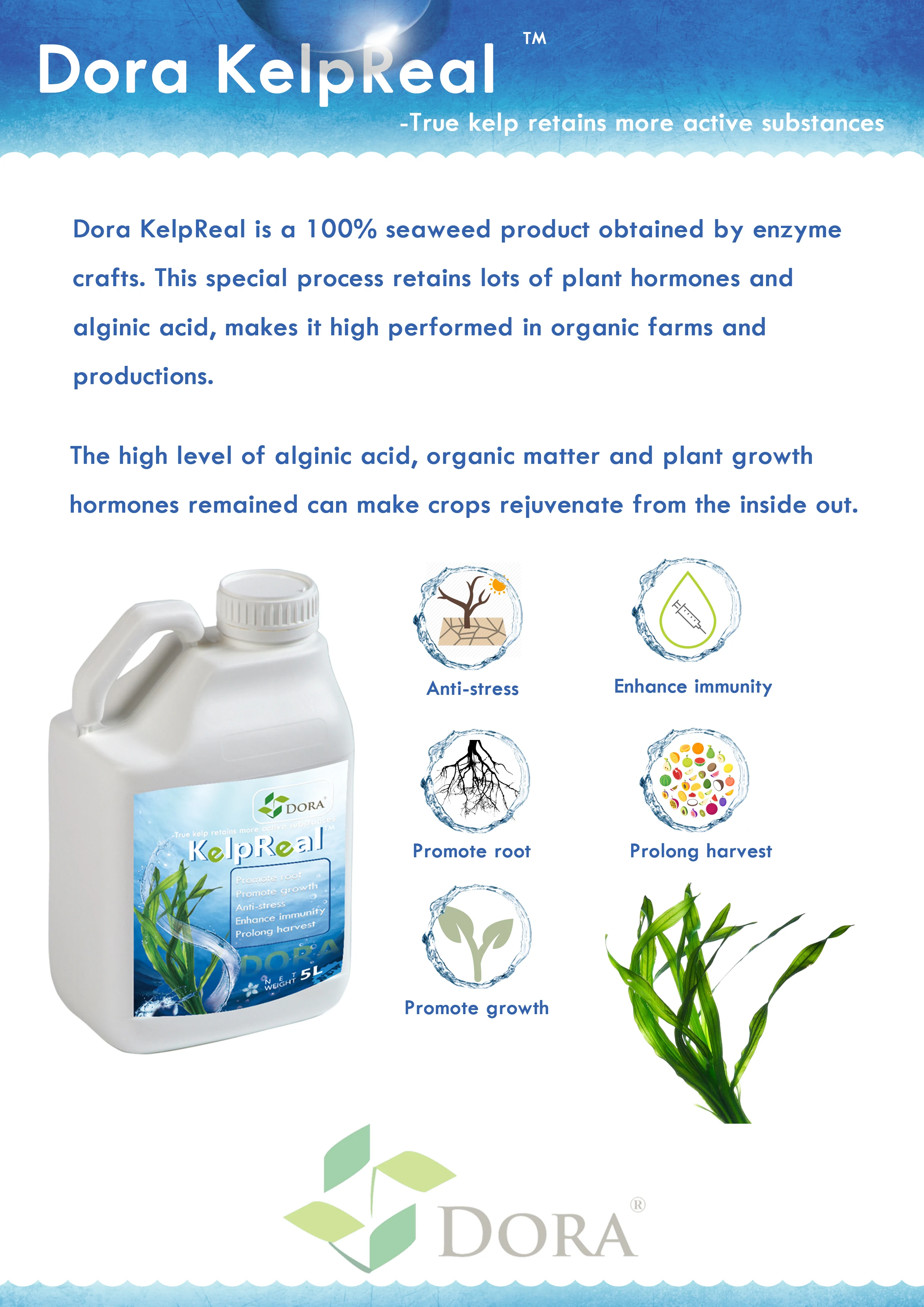 Dora Kelp Extract - 20% Seaweed Fertilizer for Organic Growth