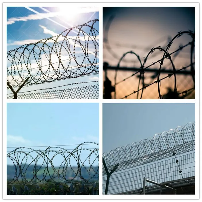Razor Barbed Wire - Durable Protection for Grasslands