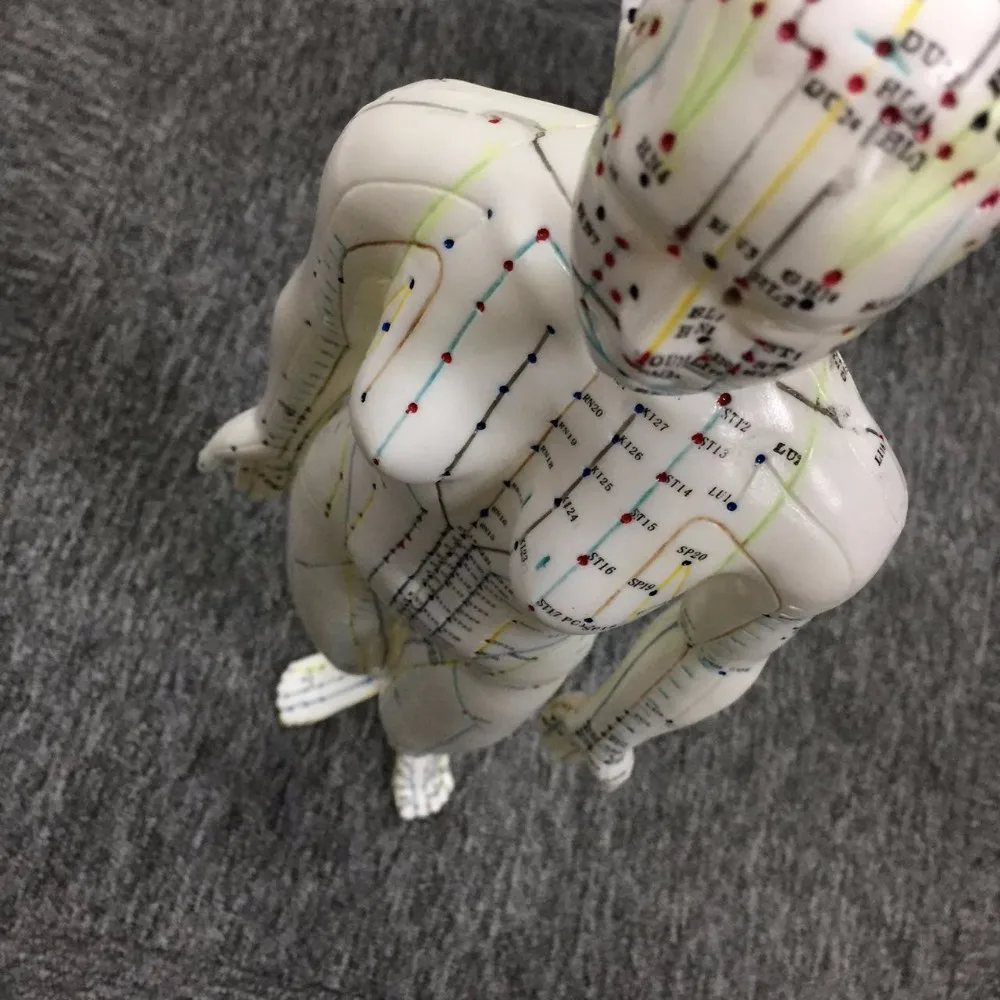 Chinese Acupuncture Model - Female Body for Meridian Points