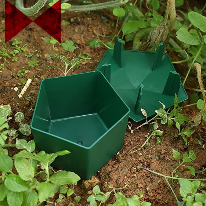 Non-toxic Pest Control Slug Traps Snail Kill Trap| Alibaba.com