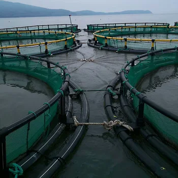 Circular Aquaculture Net Cage - Buy Aquaculture Net Cage,Aquaculture ...