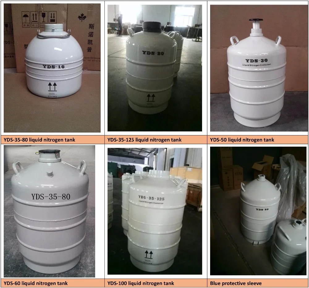 Small Capacity Thermos Liquid Nitrogen Bioligical Container Dewar ...