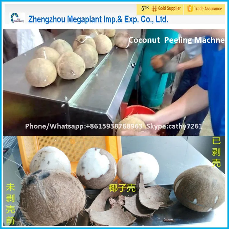 Old Brown Hard Shell Coconut Peeling Machine - High Productivity