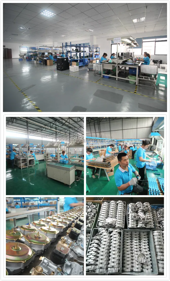 High Quality CNG System with Digitronic CNG ECU for 4cyl Engine