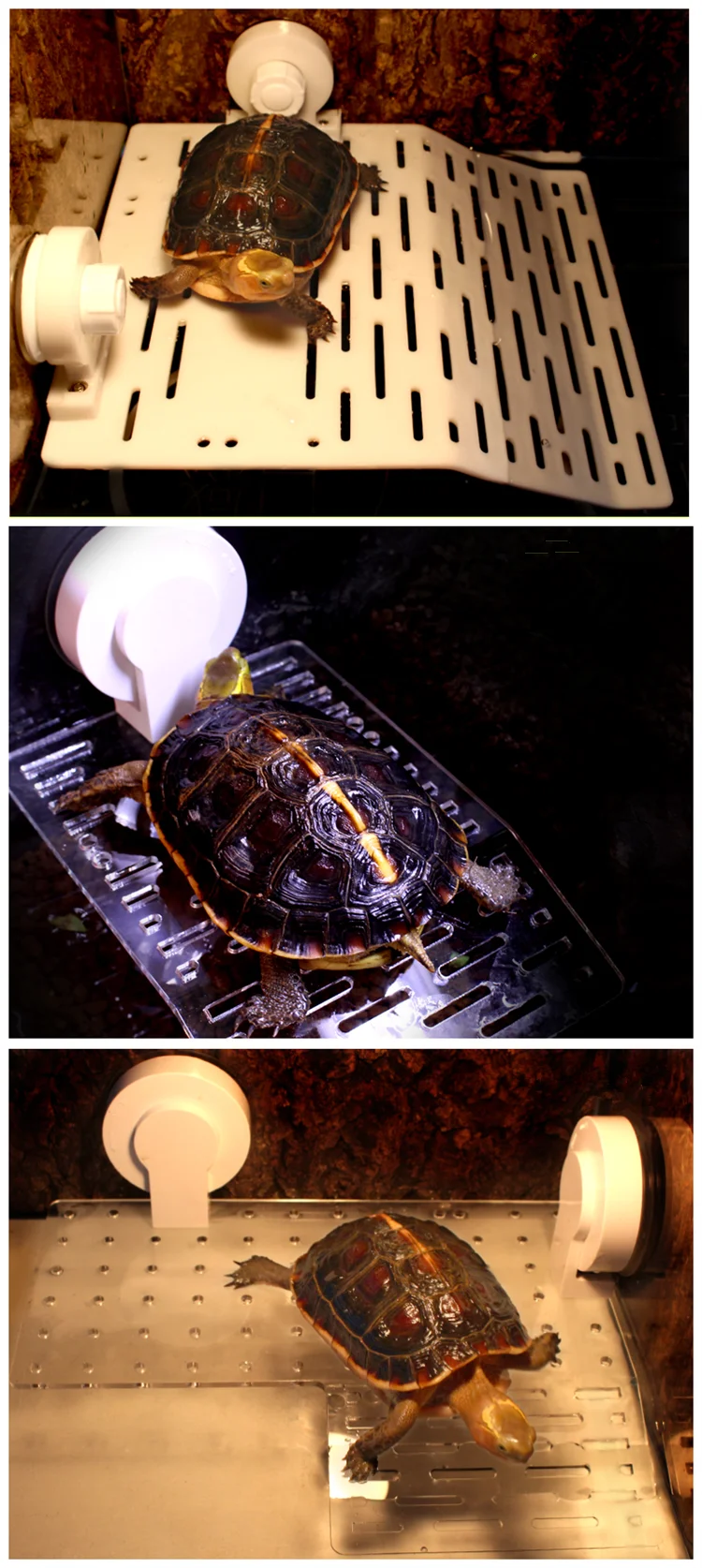 Wholesale Turtle Stairs Terrarium Reptile Accessories