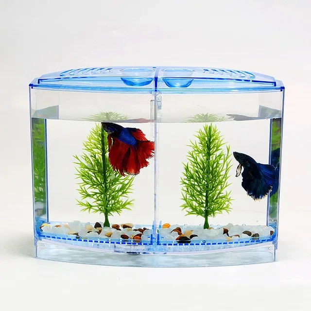 Unique Revolving Desktop 360 Degree Fish Tank With Glass Square Jar ...
