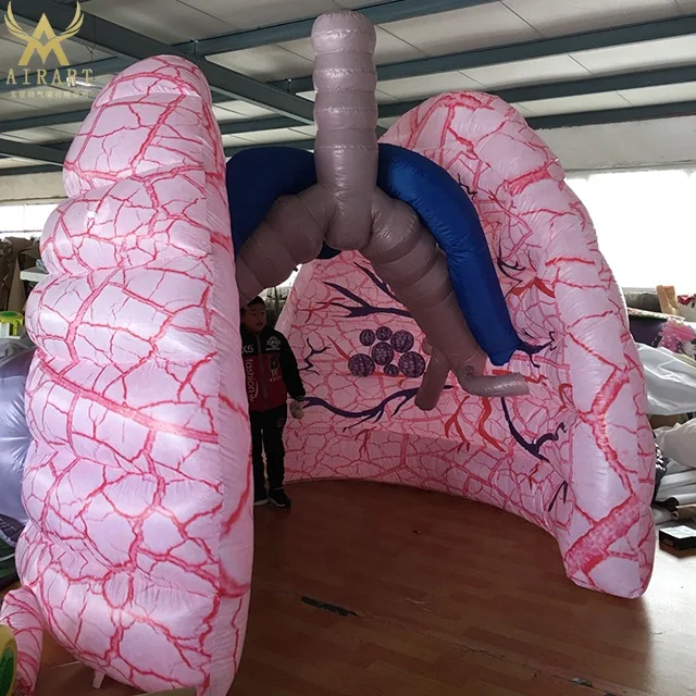 High Quality Advertising Inflatable Lung Arch Tunnel Model Fireproofed ...