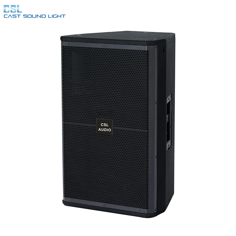 15 Inch PA Sound Speaker - 1000W Output Power & Titanium Diaphragm