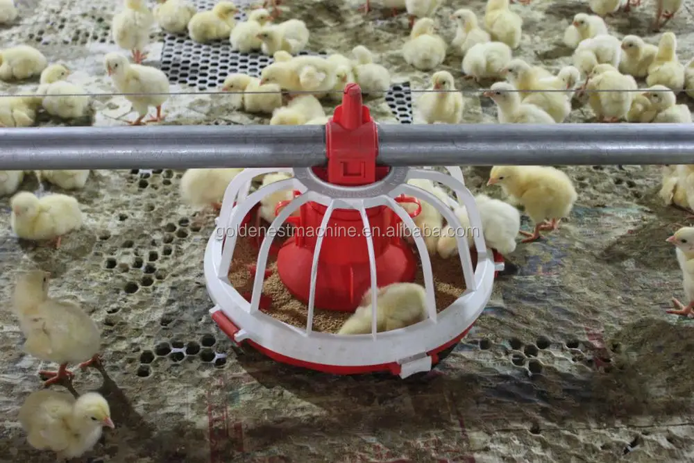 China Automatic Pan Feeder For Poultry Manufacturers and Suppliers ...