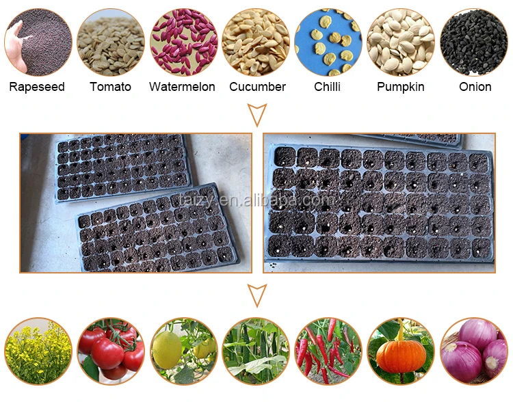 Automatic Seed Planting Machine - Efficient Nursery Seeding