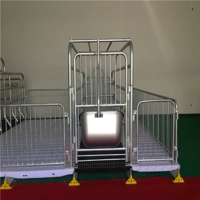 Pig Farm Farrowing Crate Maternity Cage - Buy Pig Farm Farrowing Crate ...