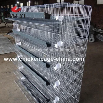Poultry Wire Mesh Cages Of Quails With Egg Cartons - Buy Wire Mesh ...