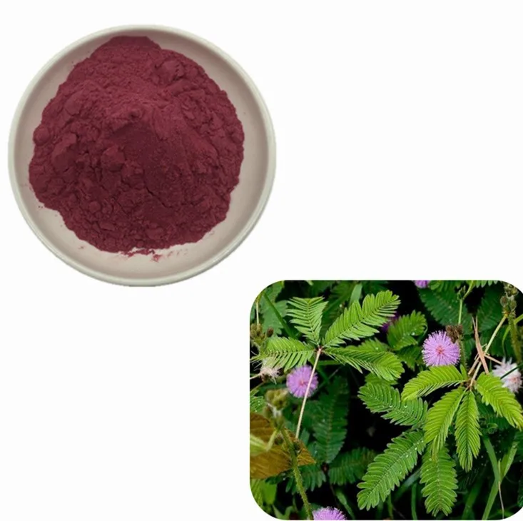 100% Natural Pure Mimosa Hostilis Inner Root Bark Powder - Buy Mimosa ...