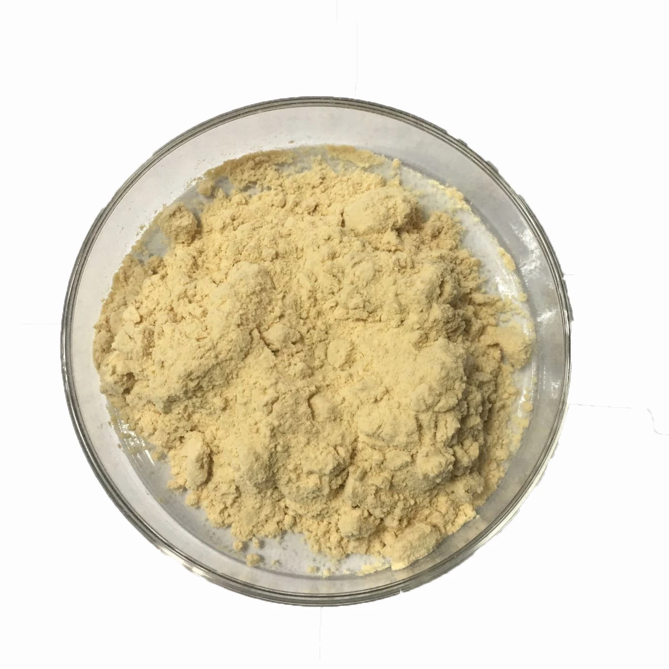 Pure Natural Siberian Ginseng Root Extract Powder Buy Siberian Ginseng Extractsiberian
