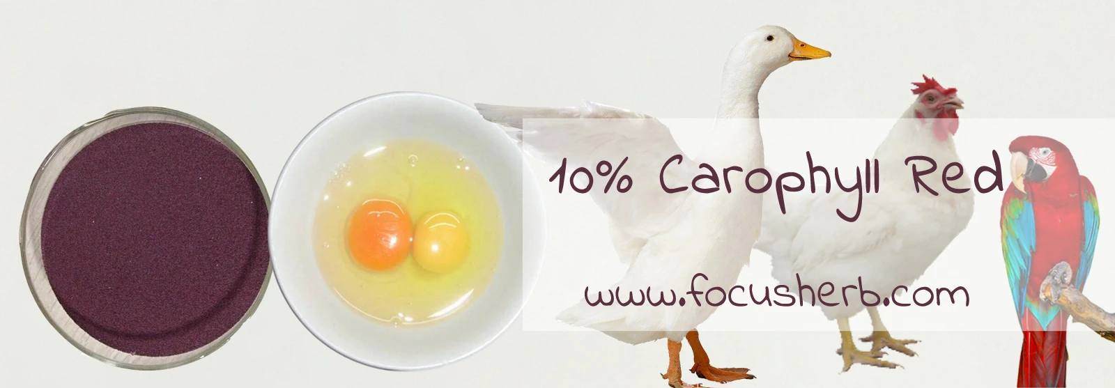 Feed Grade 10% Carophyll Red For Poultry - Buy Carophyll Red,Carophyll ...