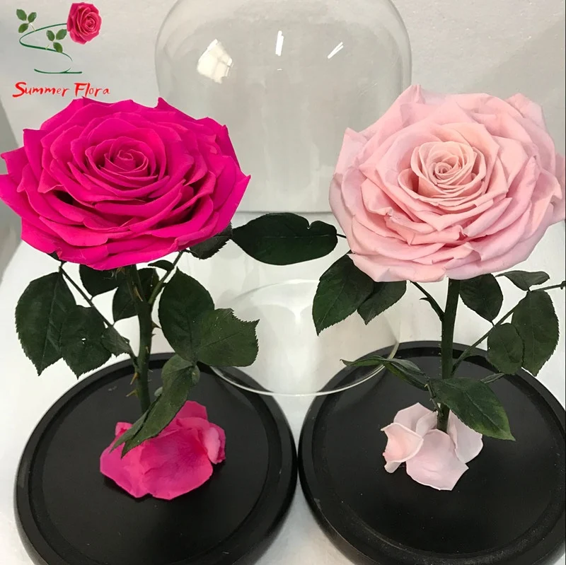 Wholesale Preserved Flowers In Glass 10cm Rose Head Flower Decoration ...