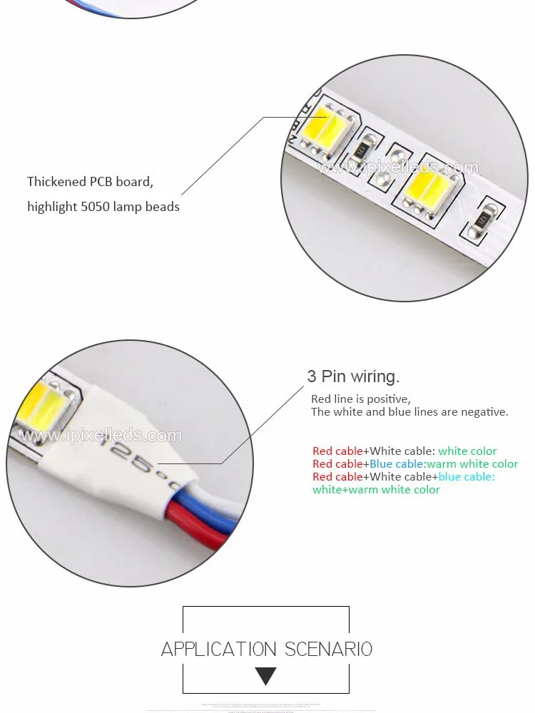 White+warm White Color Temperature Adjustable Smd 5050 Led Strip 24v ...