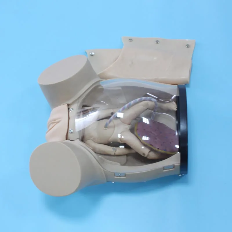 Nursing Pvc High Quality Delivery Emergency Birth Training Simulator ...