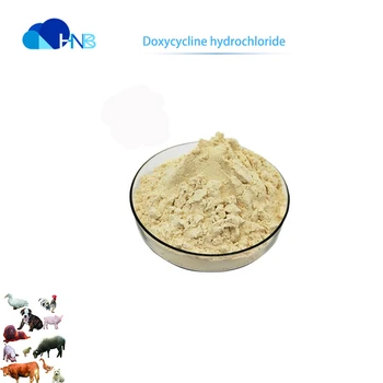 Doxycycline Hydrochloride Powder,Pig Medicine And Poultry Medicine Cas ...