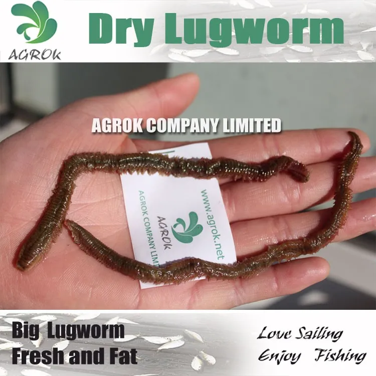 Agrok 400g Bulk Packing Fishing Bait Lure Dry Lugworm - Buy Dry Lugworm ...