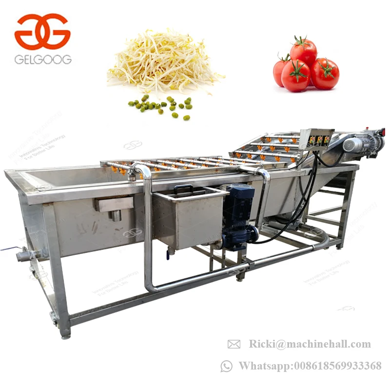 Commercial Automatic Vegetable Fruit Blueberry Washing Cleaner Mung ...