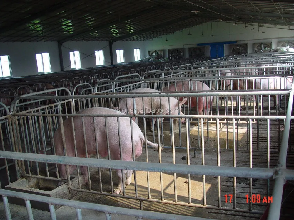 Durable Pig Cages - Hot Dip Galvanized Mating Animal Cages