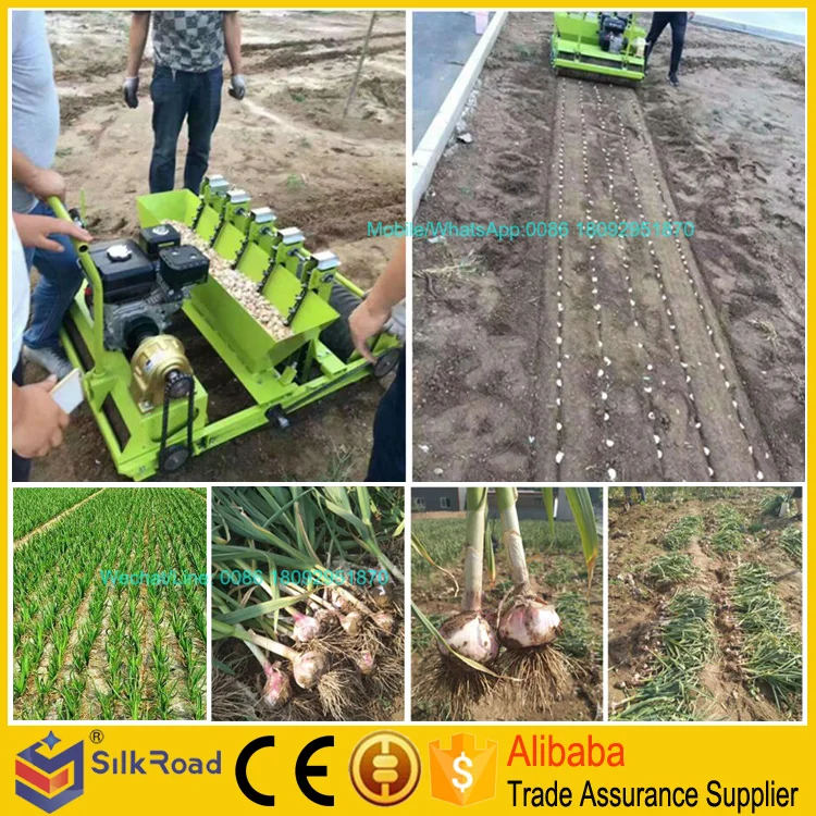 High Efficiency Automatic Garlic Planter - 1 Year Warranty