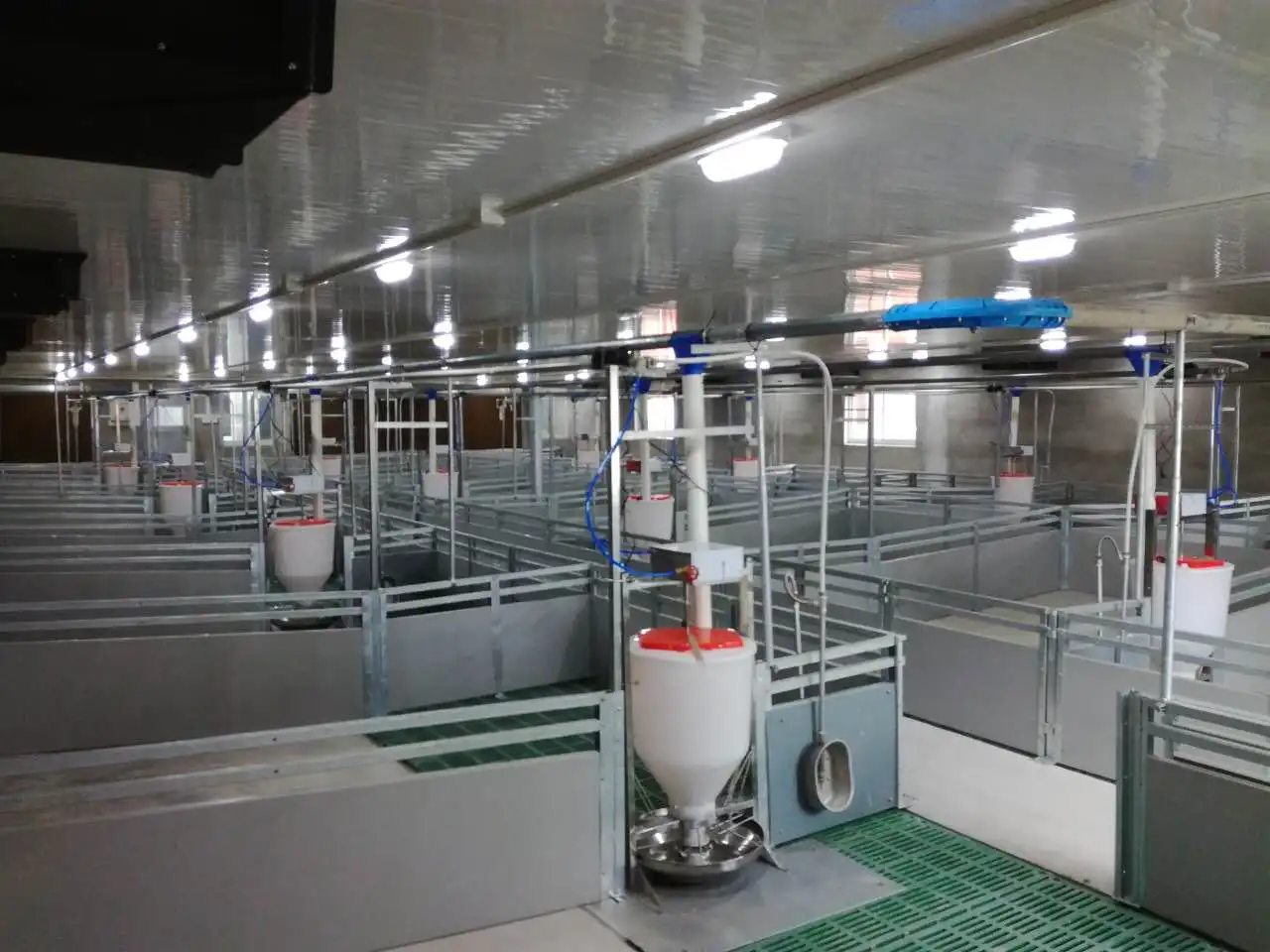 New Intelligent Pig Auto Feeder Automatic Pig Feeder For Sale - Buy Pig ...