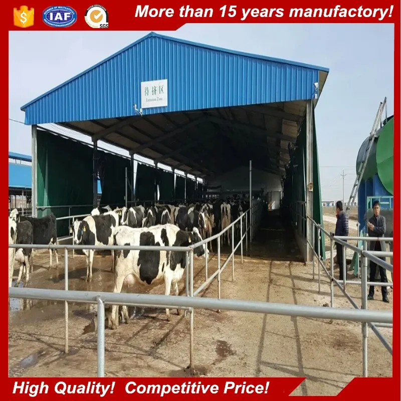 Prefabricated Modern Steel Structure For Cowshed Cow Cattle Farm - Buy ...