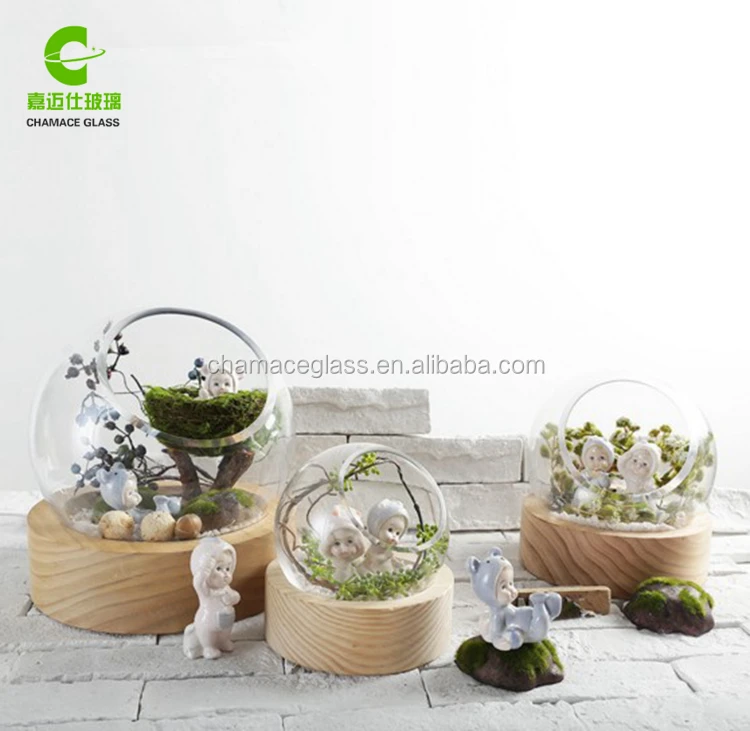 Wholesale Clear Glass Round Terrarium with Wooden Base