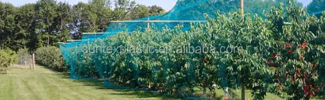 Virgin Hdpe Rigid Fine Mesh Insect Screen Net/woven Plastic Garden ...