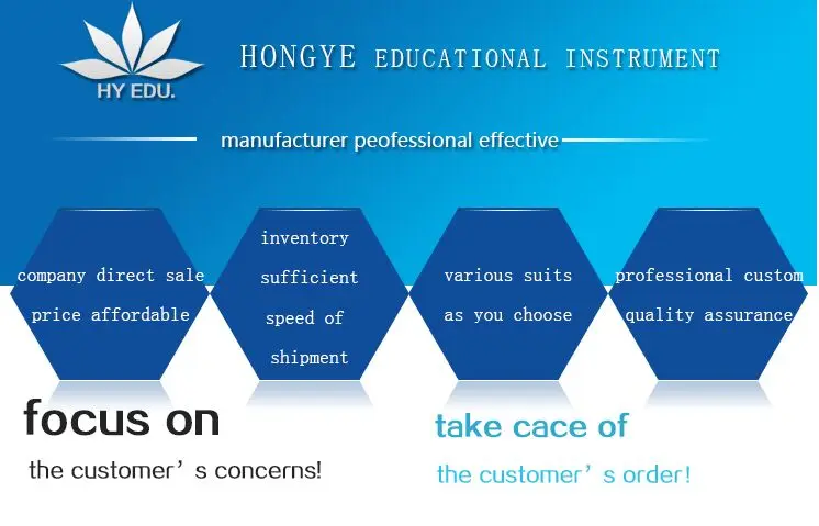 Animal Anatomical Chicken Anatomy Model - Plastic Specimens