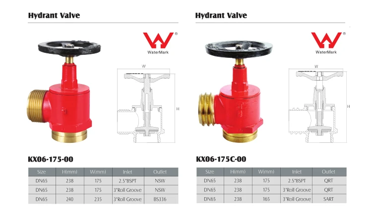 Chromed painted pure brass 1*M30 valve-SAFETY LIFE FIRE EQUIPMENTS CO.,