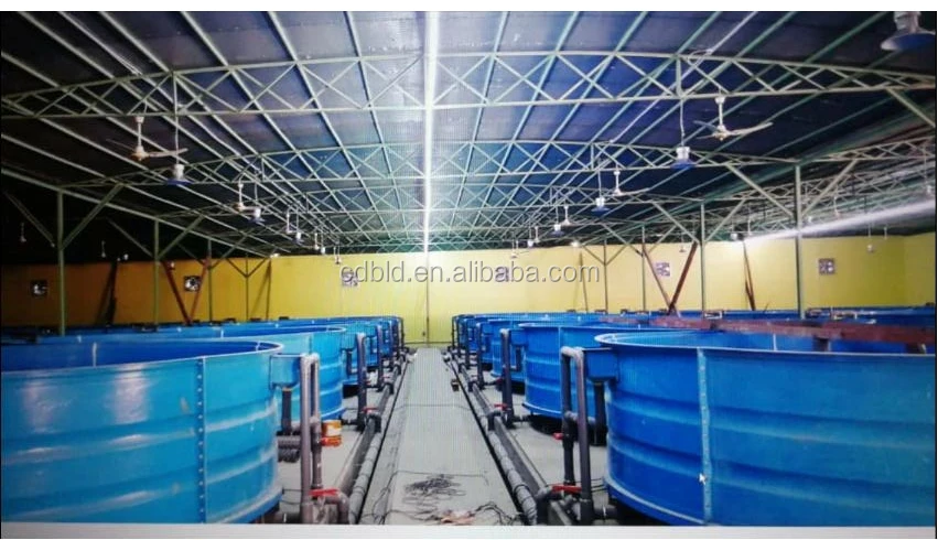 Fish Shrimp Aquaculture Greenhouse - Multi-Span & Durable
