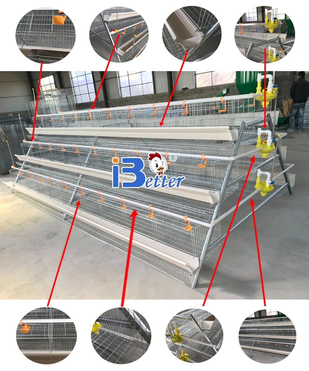 4 Tier 128 Chickens Capacity Poultry Cage - Buy Poultry Cage,Poultry ...