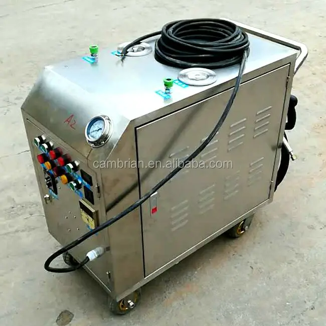 Lpg 및 전기 난방 더블 건 모바일 스팀 세차 기계 모바일 스팀 자동차 세탁기 Buy 스팀 세차 기계스팀 청소기휴대