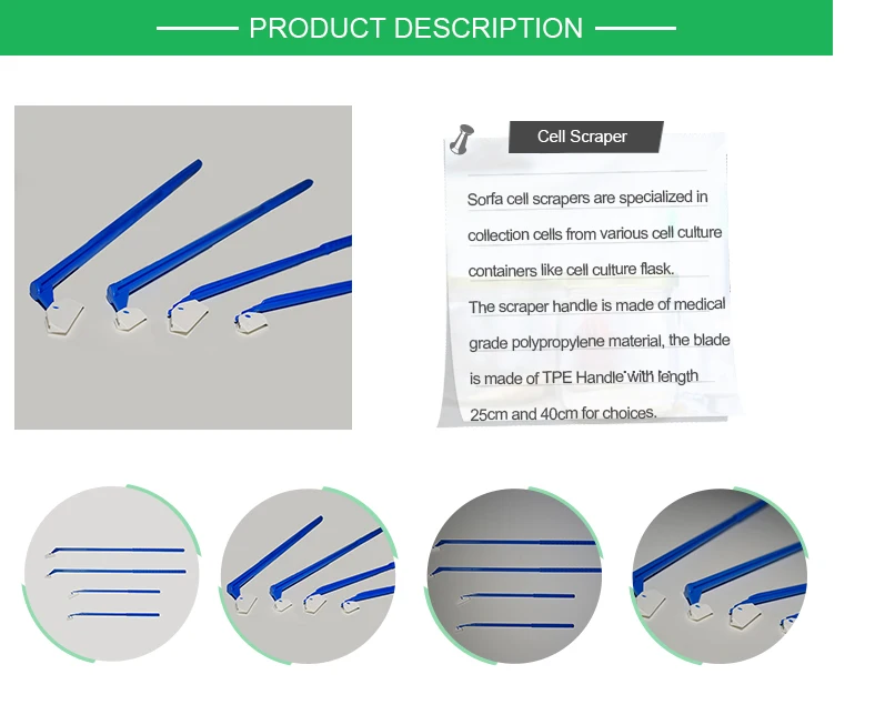 Plastic Disposable Sterile Cell Scrapers 25*1.8cm With Individual Wrap ...