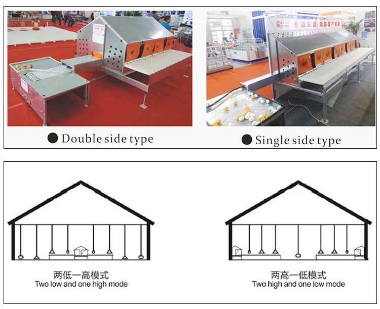 Goldenest Automatic Nest Boxes for Laying Breeder Chickens