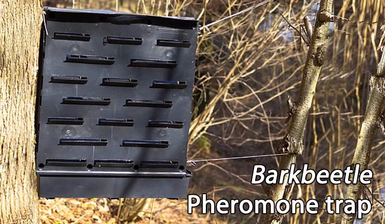 Effective Bark Beetle Traps - Sustainable Pest Control