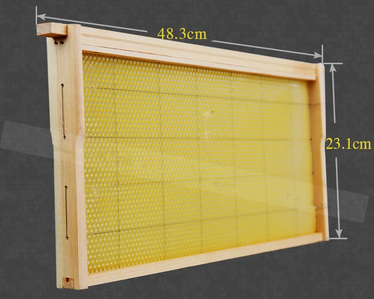 Langstroth 10 Frames Beehive - Wholesale Beekeeping Supplies
