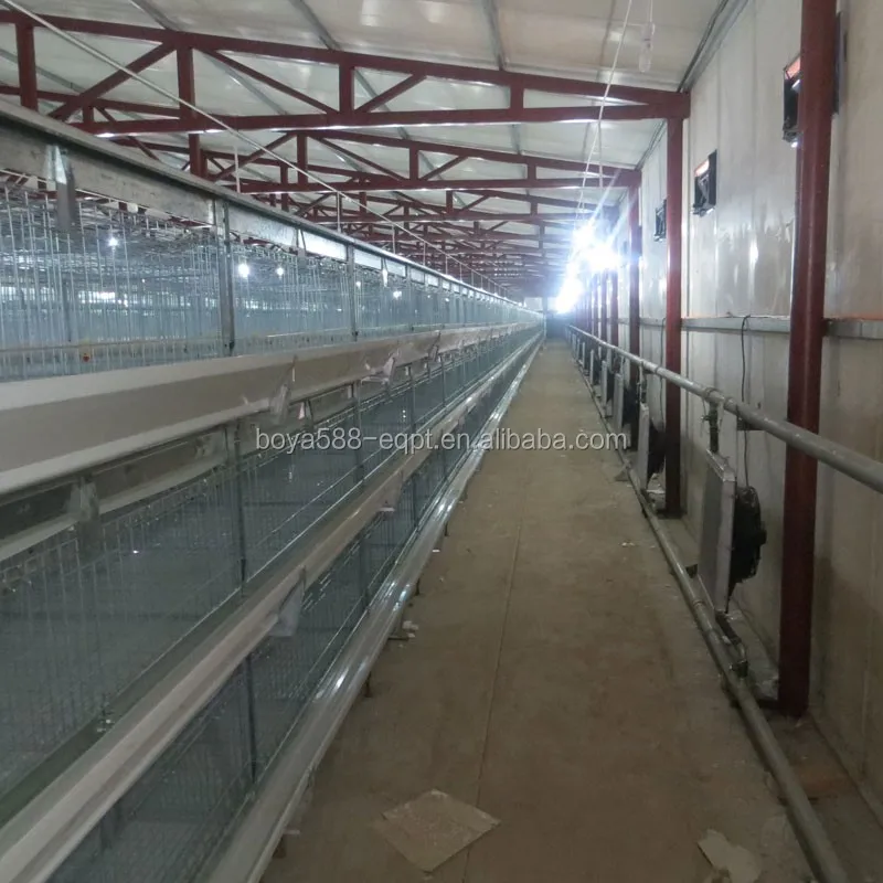 Stacked Colony Cages For Broilers - Buy Cage For Broilers,Broiler ...