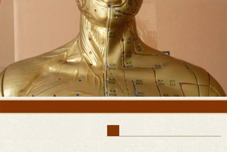85cm Human Male Whole Body Acupuncture Bronze Model - Buy Male Body ...
