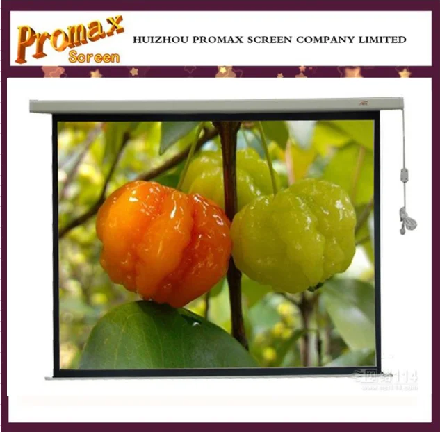 200 Inch Projector Screen Motorized Projection Screen - Buy 350 Inch ...