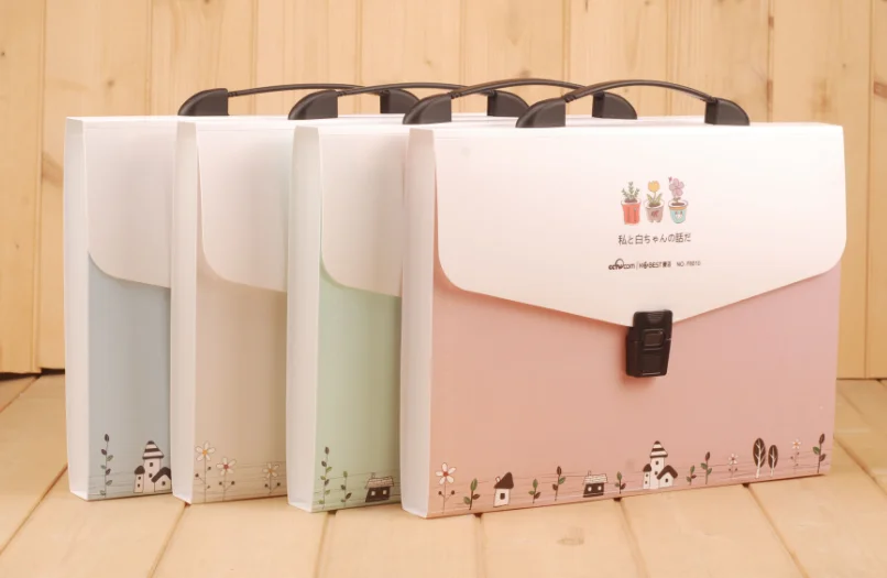 Hot Sales A4 Hard Plastic Expanding Document File Case - Buy Document ...