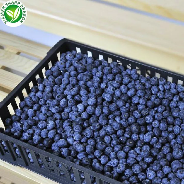 Iqf Organic Frozen Blueberry Fresh Fruit Bulk Frozen Blueberries